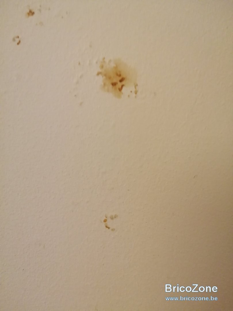 Tâches brunes sur mur