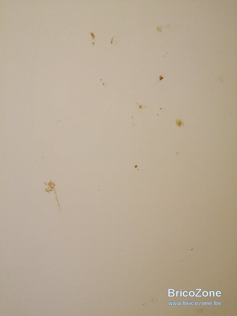 Tâches brunes sur mur